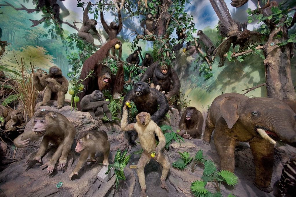 15 Best Things to Do in Medan (Indonesia) - The Crazy Tourist