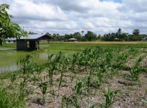 15 Best Places to Visit in Sumba (Indonesia) - The Crazy Tourist
