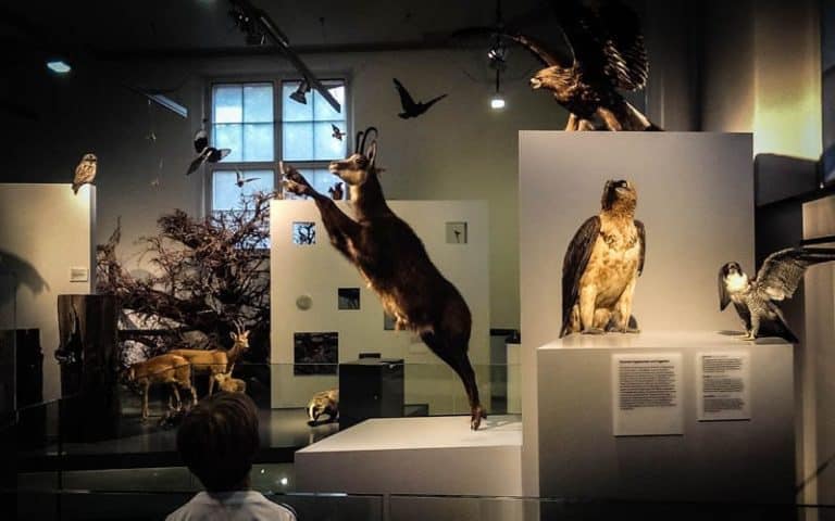 15 Best Things to Do in Winterthur (Switzerland) - The Crazy Tourist