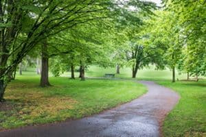 25 Best Things to Do in Geneva (Switzerland) - The Crazy Tourist