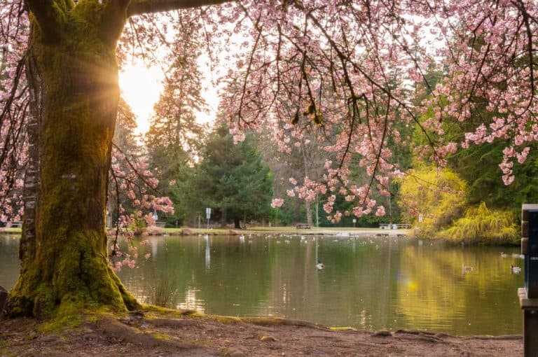15 Best Things to Do in Burnaby (Brits-Columbia, Canada) - The Crazy ...