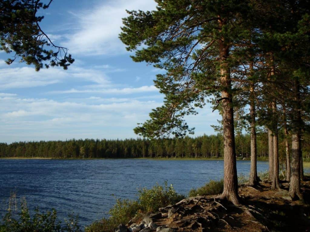 15 Best Things to Do in Umeå (Sweden) - The Crazy Tourist