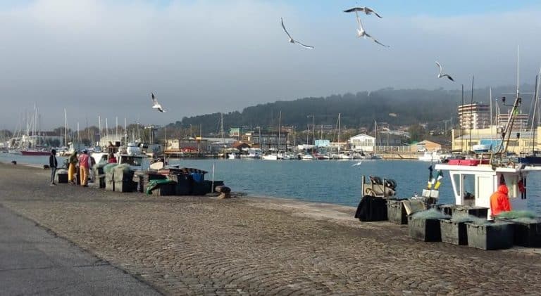 15 Best Things to Do in Pesaro (Italy) - The Crazy Tourist