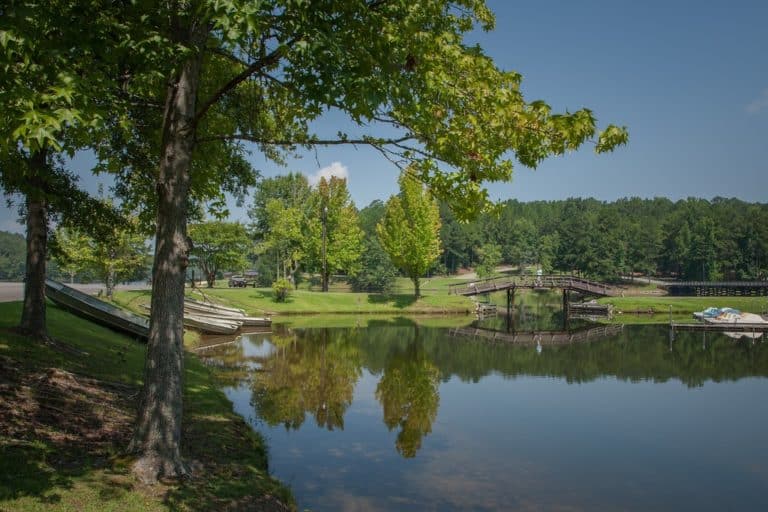 15 Best Lakes in Alabama - The Crazy Tourist