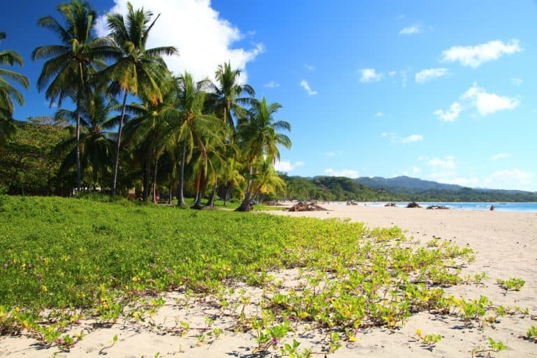 15 Best Beaches in Costa Rica - The Crazy Tourist