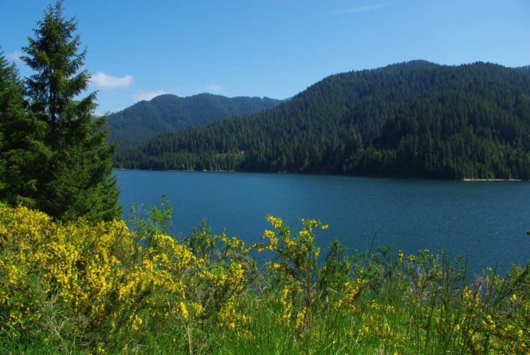 15 Best Lakes in Oregon - The Crazy Tourist