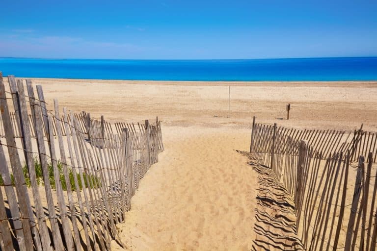 15 Best Beaches in Cape Cod - The Crazy Tourist