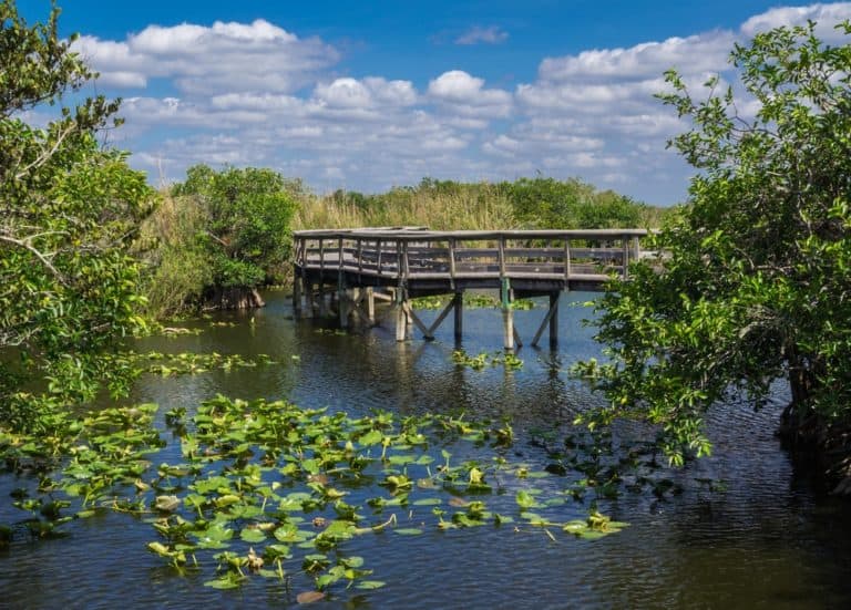 25 Best Things to Do in Florida - The Crazy Tourist