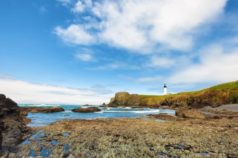 15 Best Beaches in Oregon - The Crazy Tourist