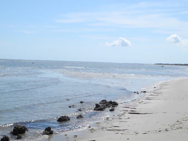 10 Best Beaches in Delaware - The Crazy Tourist