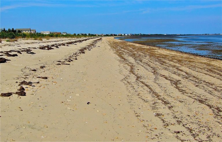 10 Best Beaches in Delaware - The Crazy Tourist
