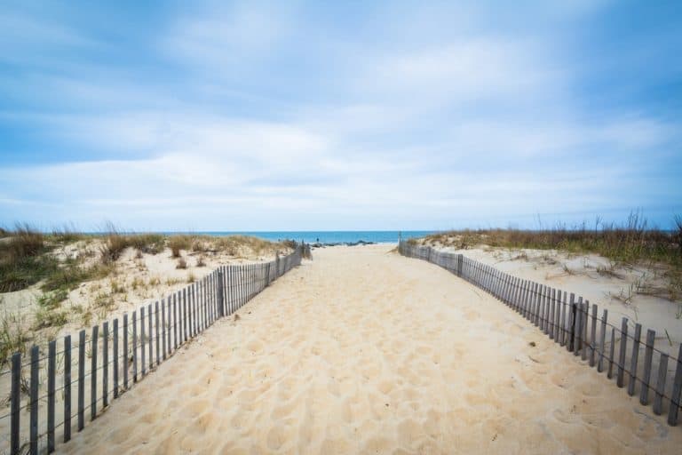 10 Best Beaches in Delaware - The Crazy Tourist