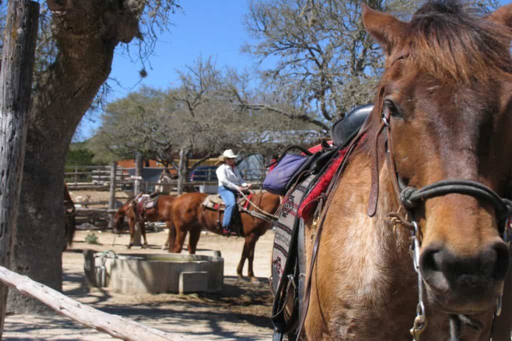 40 Places to See in Texas Before Your Kids Grow Up - The Crazy Tourist