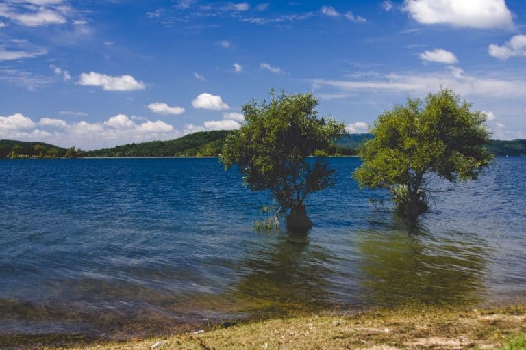 15 Best Lakes in Arkansas - The Crazy Tourist