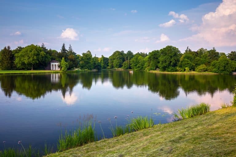 15 Best Things to Do in Dessau (Germany) - The Crazy Tourist