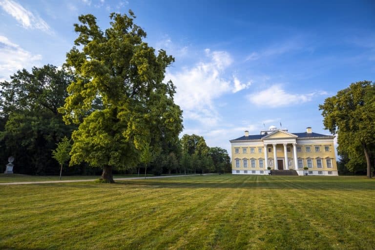 15 Best Things to Do in Dessau (Germany) - The Crazy Tourist