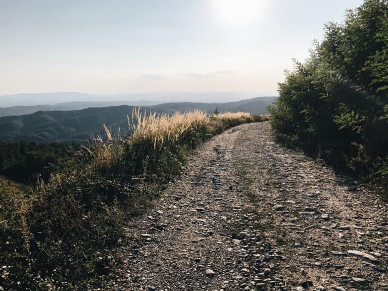 15 Best Things to Do in Šabac (Serbia) - The Crazy Tourist