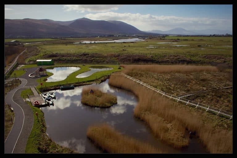 15 Best Things to Do in Tralee (Ireland) - The Crazy Tourist