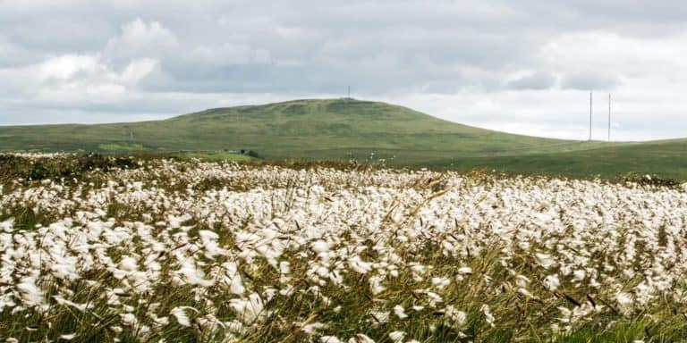 25 Best Things to Do in Belfast (Northern Ireland) - The Crazy Tourist