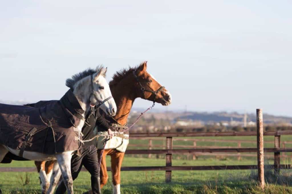 15 Best Things to Do in Naas (Ireland) - The Crazy Tourist