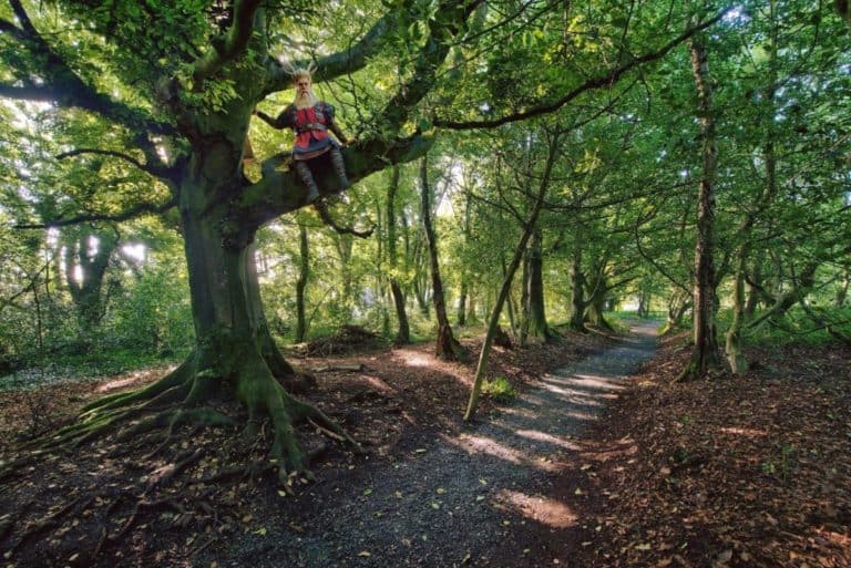 15 Best Things to Do in Naas (Ireland) - The Crazy Tourist