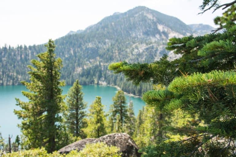 14 Best Things to Do in Florin (CA) - The Crazy Tourist