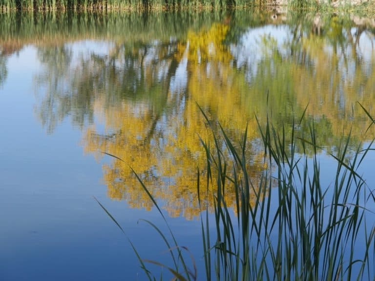 15 Best Lakes in Delaware - The Crazy Tourist