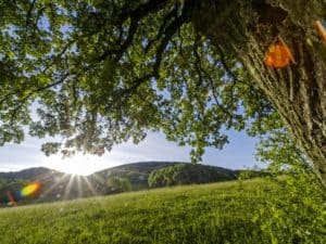 15 Best Day Trips from Vienna - The Crazy Tourist