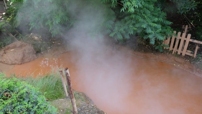 15 Best Things to Do in Beppu (Japan) - The Crazy Tourist