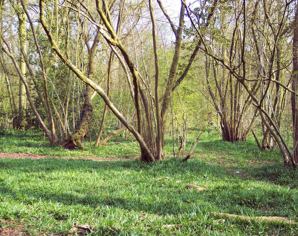 15 Best Things to Do in Worcester (Worcestershire, England) - The Crazy ...