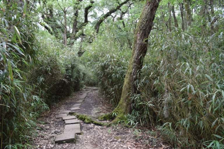 19 Most Beautiful Places to Visit in Louisiana - The Crazy Tourist