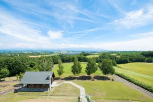 15 Best Things to Do in Asahikawa (Japan) - The Crazy Tourist