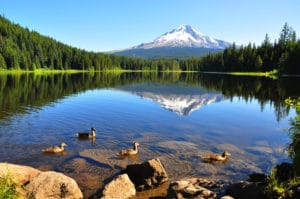 19 Most Beautiful Places to Visit in Oregon - The Crazy Tourist