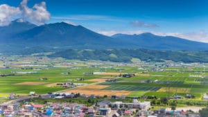 25 Best Things to Do in Furano (Japan) - The Crazy Tourist