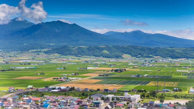 25 Best Things to Do in Furano (Japan) - The Crazy Tourist
