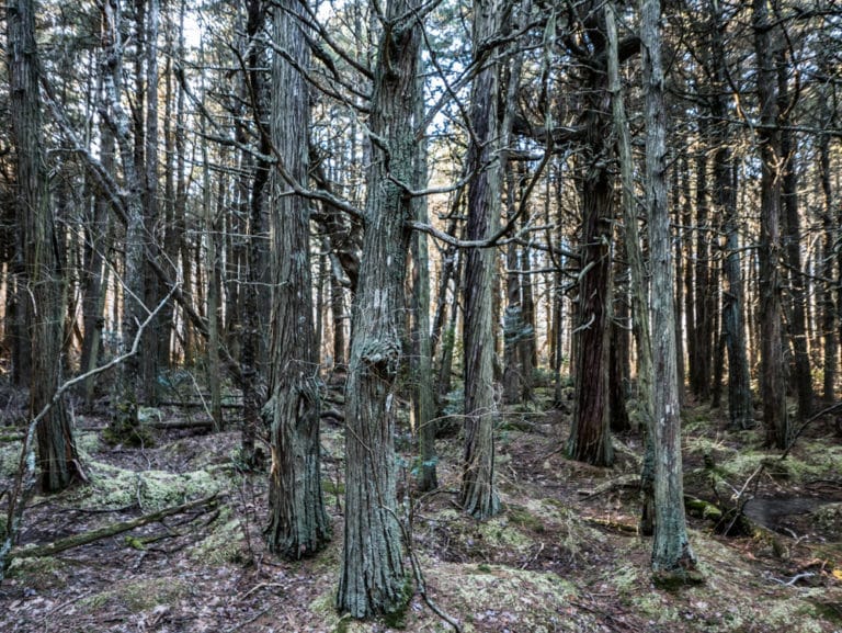 17 Most Beautiful Places to Visit in Massachusetts - The Crazy Tourist