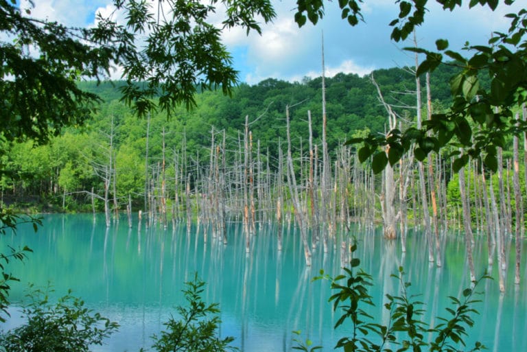 25 Best Things to Do in Furano (Japan) - The Crazy Tourist