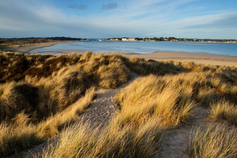 15 Best Things to Do in Poole (Dorset, England) - The Crazy Tourist