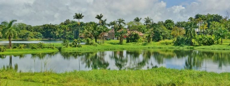 15 Best Lakes in Hawaii - The Crazy Tourist