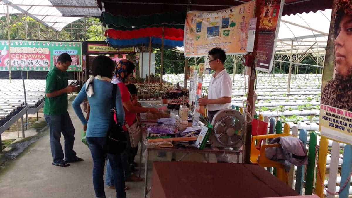 25 Best Things To Do In The Genting Highlands (Malaysia) - The Crazy ...