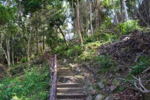 25 Best Things to Do on Tioman Island (Malaysia) - The Crazy Tourist