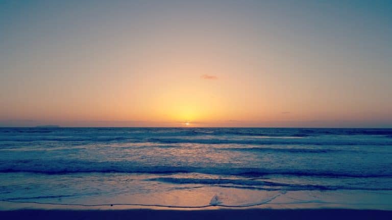 15 Best Things to Do in Tijuana (Mexico) - The Crazy Tourist