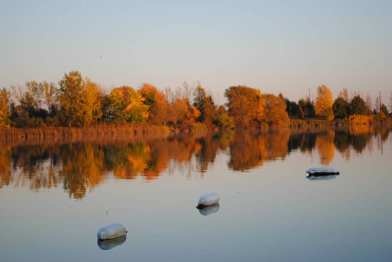 15 Best Things to Do in Waterloo (Ontario, Canada) - The Crazy Tourist