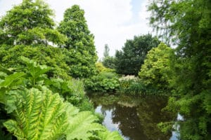 15 Best Things to Do in Chelmsford (Essex, England) - The Crazy Tourist