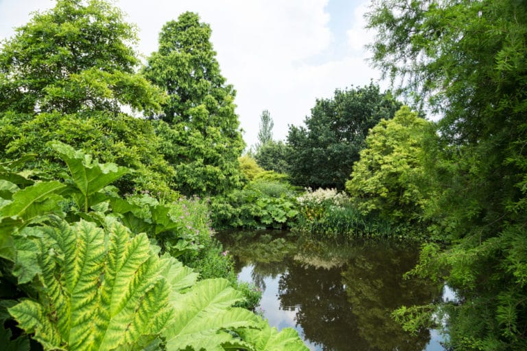 15 Best Things to Do in Chelmsford (Essex, England) - The Crazy Tourist