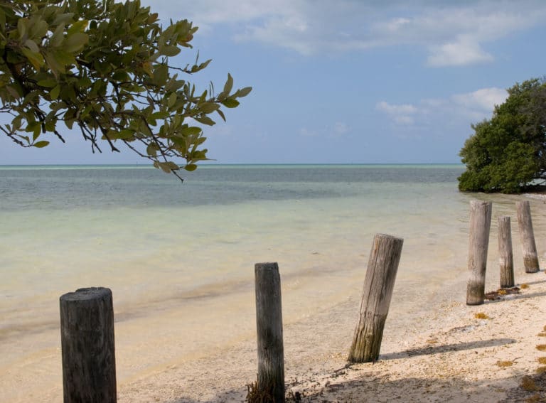 15 Best Beaches in Florida Keys - The Crazy Tourist