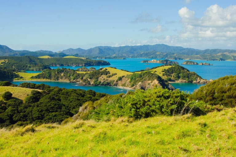 15 Best Day Trips from Auckland - The Crazy Tourist