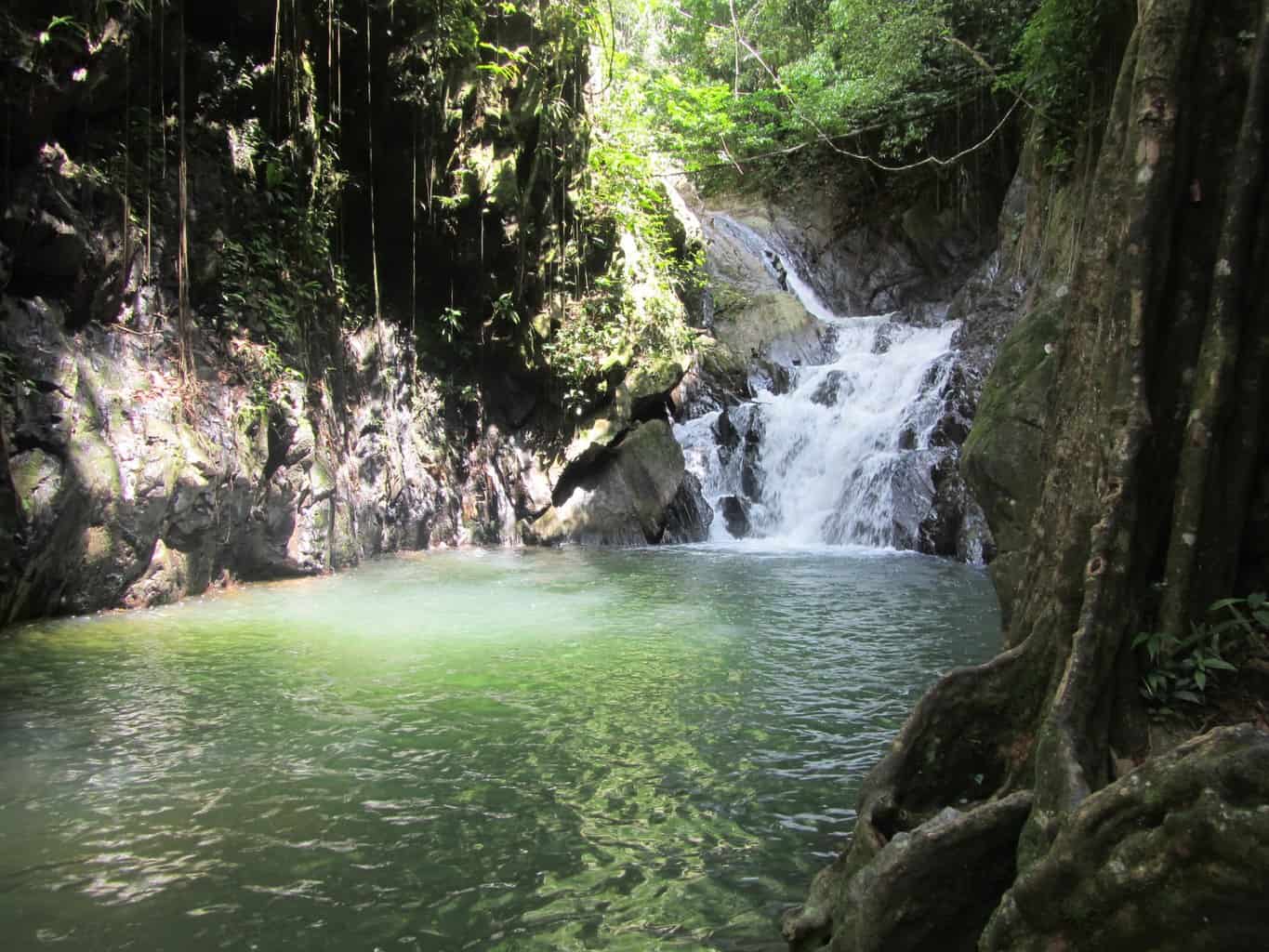 15 Amazing Waterfalls in Belize - The Crazy Tourist