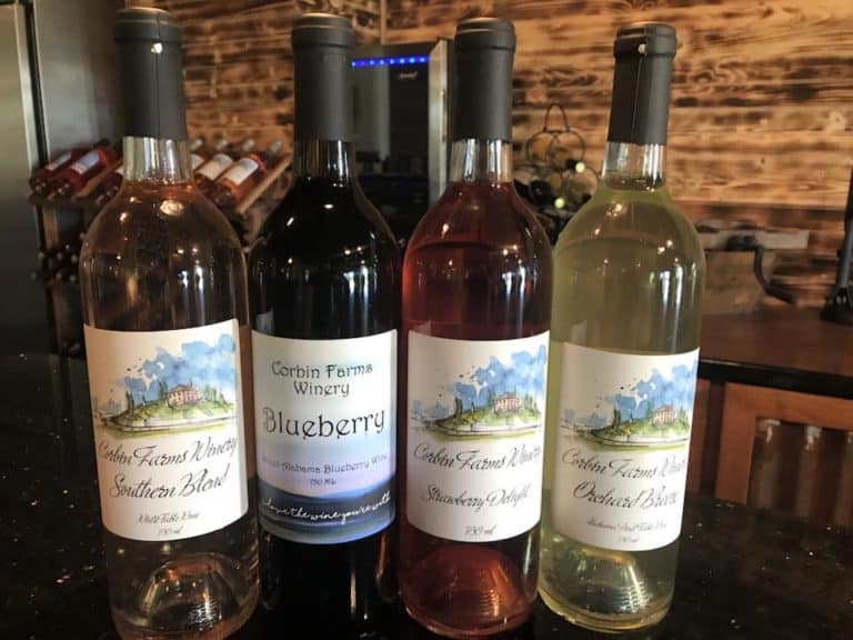 15 Best Things to Do in Alabaster (AL) - The Crazy Tourist