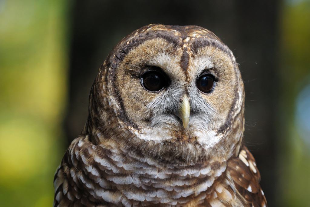 15 Best Things to do in Pelham (AL) - The Crazy Tourist